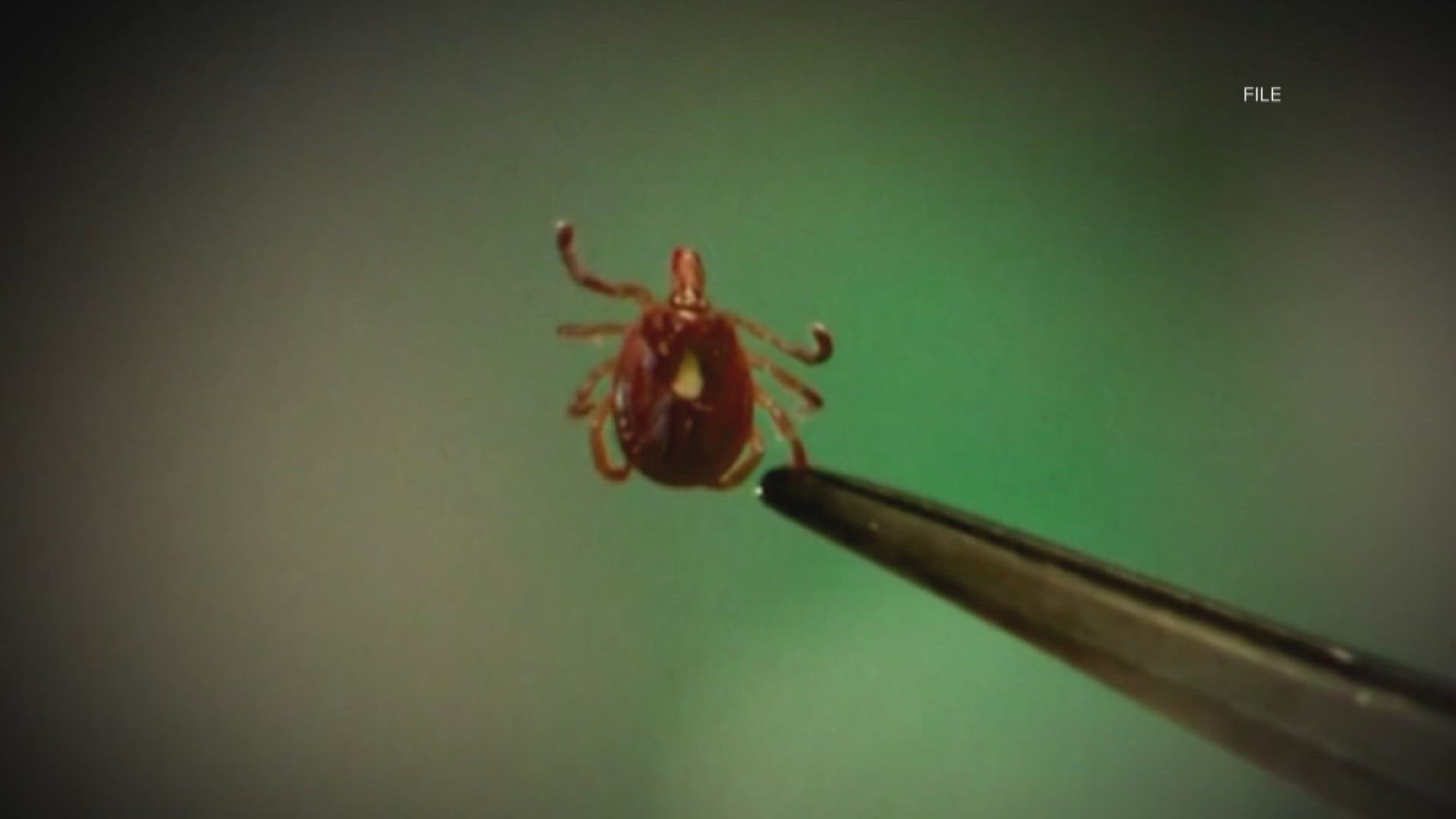 Despite regional trend of tick-related emergency room visits, central ...