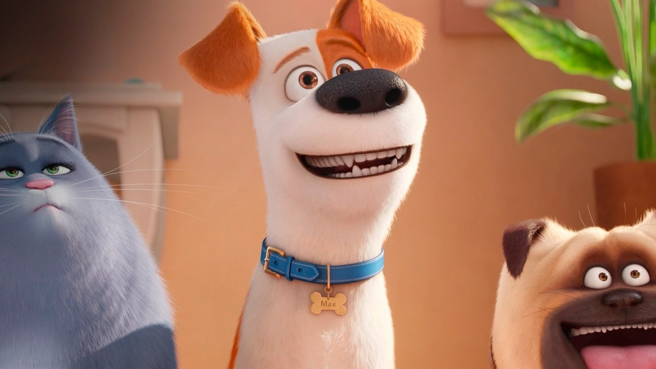 What pets do when the owners leave: The secret life of pets