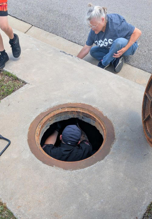 Pea Ridge police rescue dog from storm drain