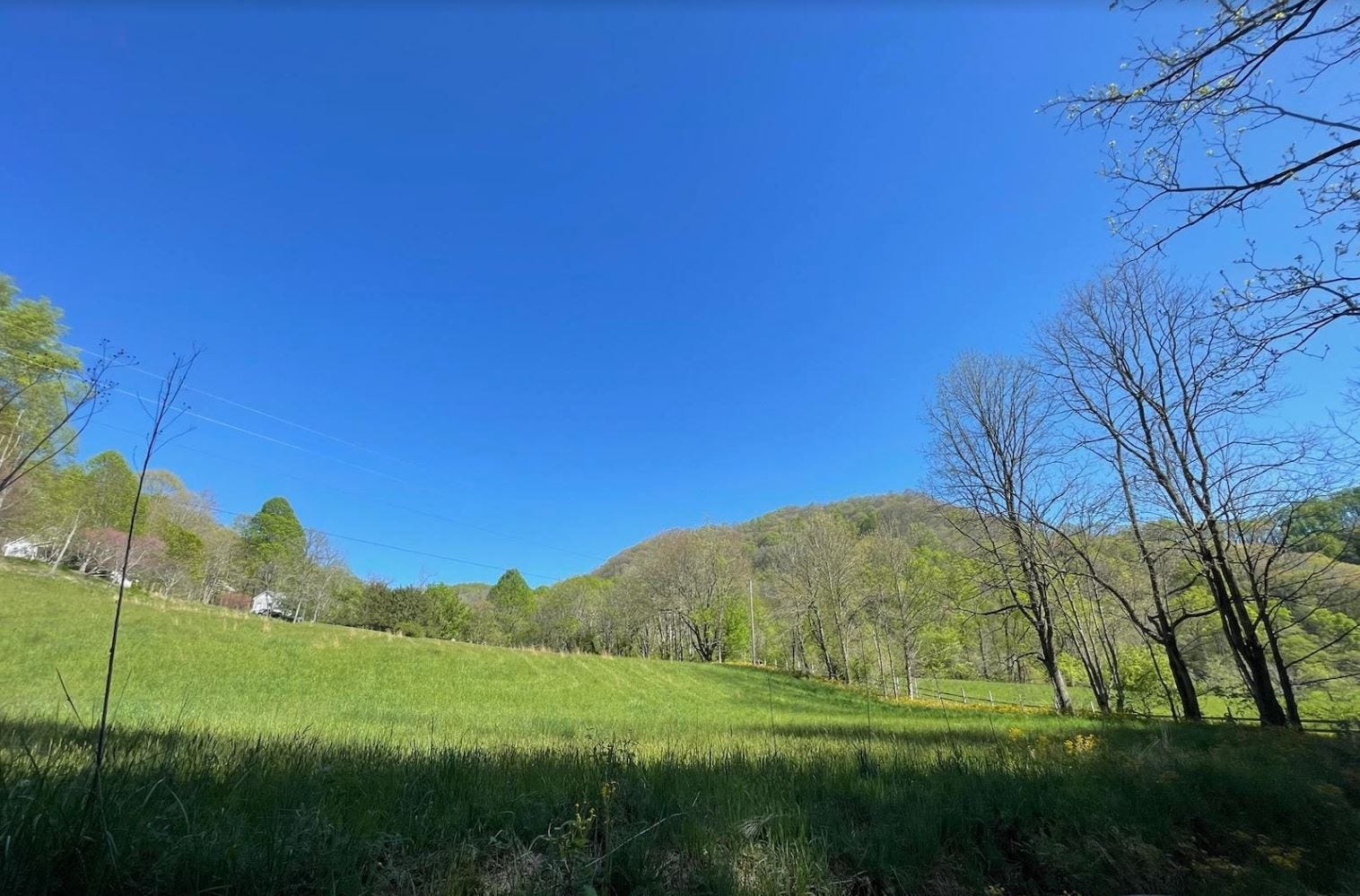 Planning board sends ridge top building issue to Madison commissioners