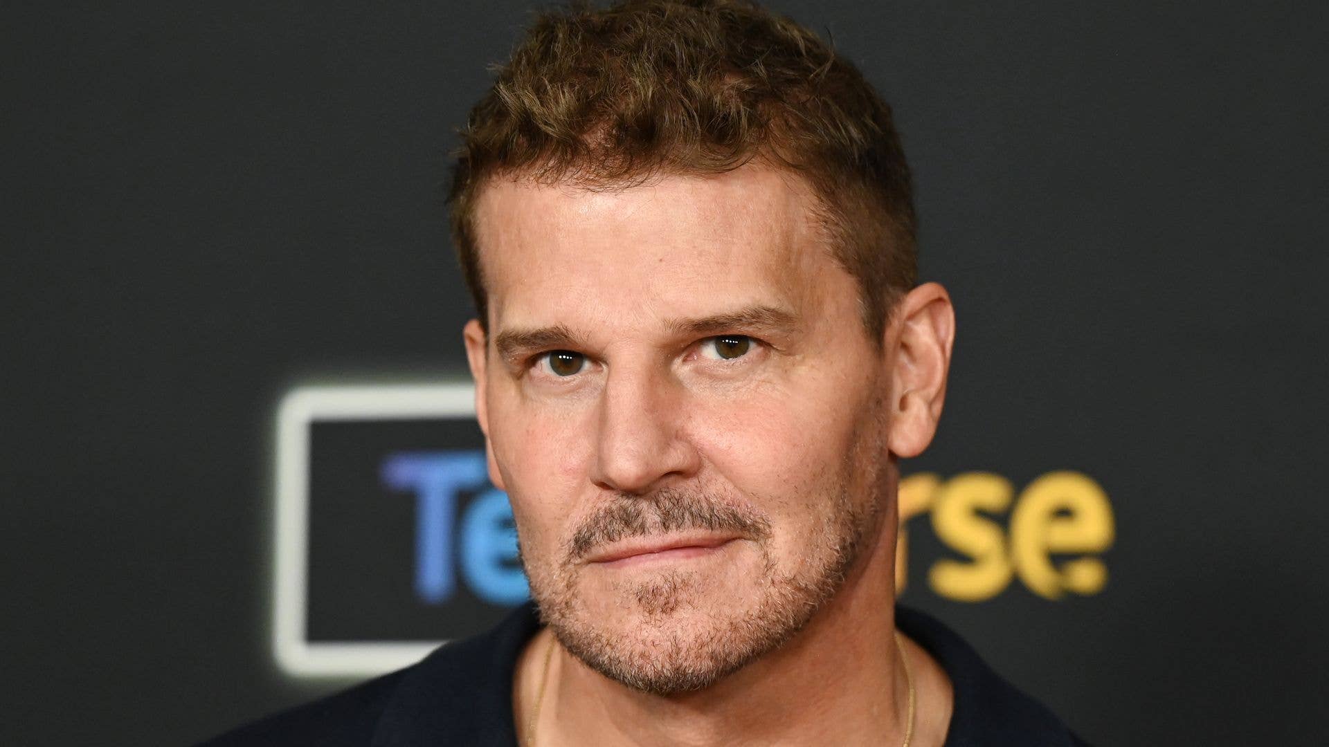 David Boreanaz's handsome son, 24, looks like his double as duo dress ...