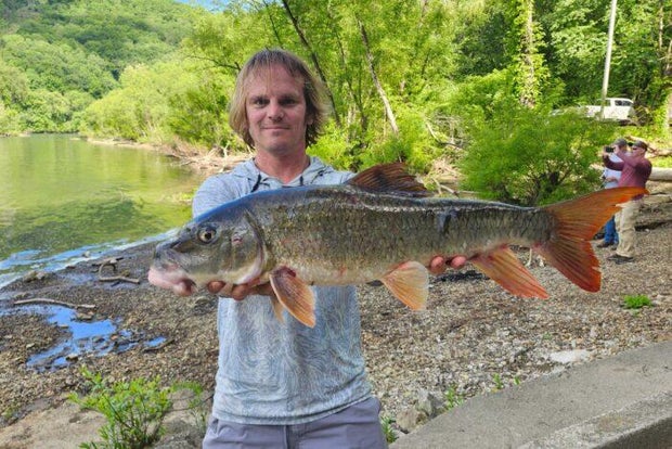 Man catches 71-pound blue catfish, breaking West Virginia record
