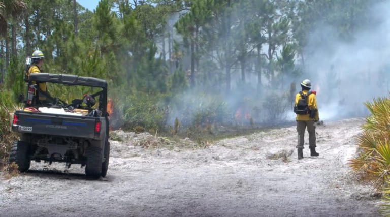 Sarasota County crews work to prevent wildfire from reigniting after ...