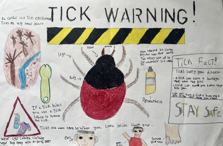 Maine CDC reveals Lyme disease awareness poster contest winners