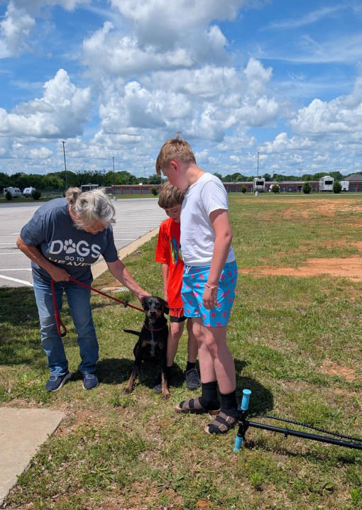 Pea Ridge police rescue dog from storm drain