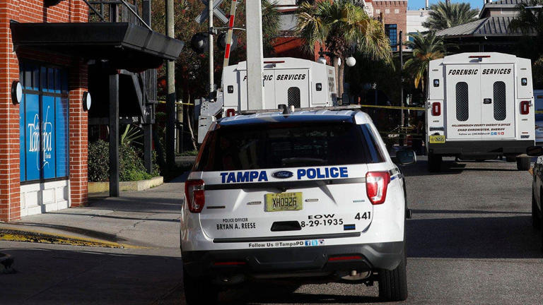 Florida deputies solve cold case murder after new DNA evidence and ...