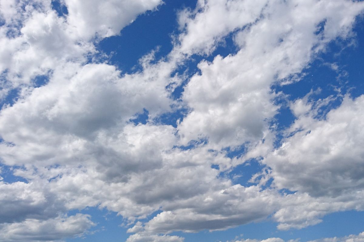 Weather: Foggy start and light winds to sweep several areas