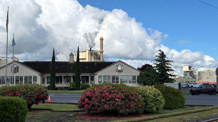 Nippon Dynawave: What to know about the Longview facility at the center ...