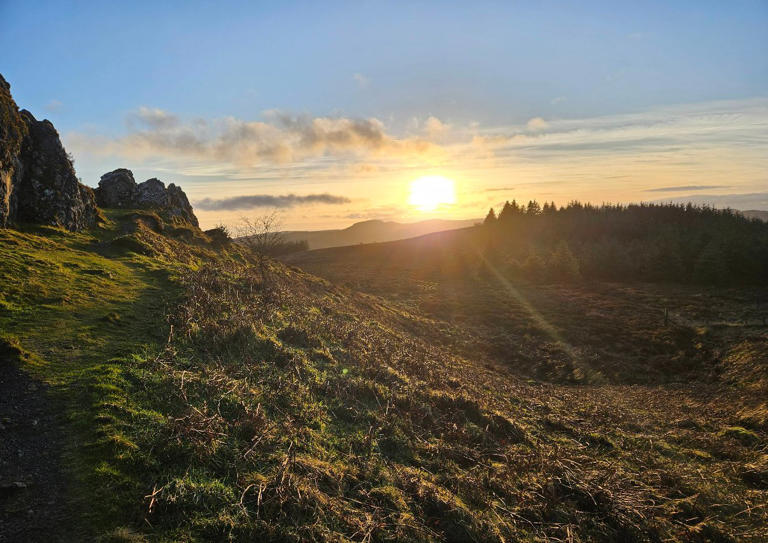 'Venomous' adder attacks hiker walking in Scottish beauty spot