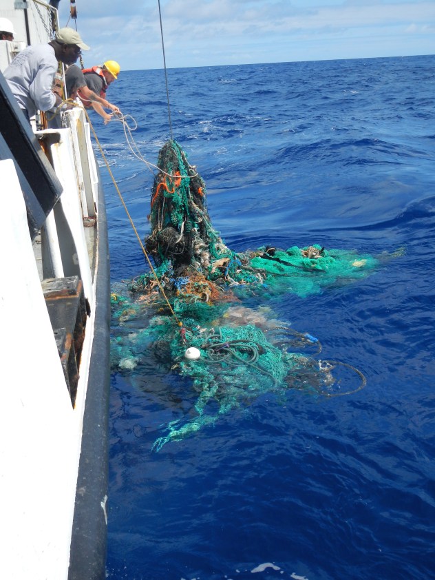 What is the Great Pacific Garbage Patch, and why are environmentalists ...