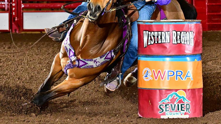 Rodeo athletes chasing every dollar as summer run looms on horizon