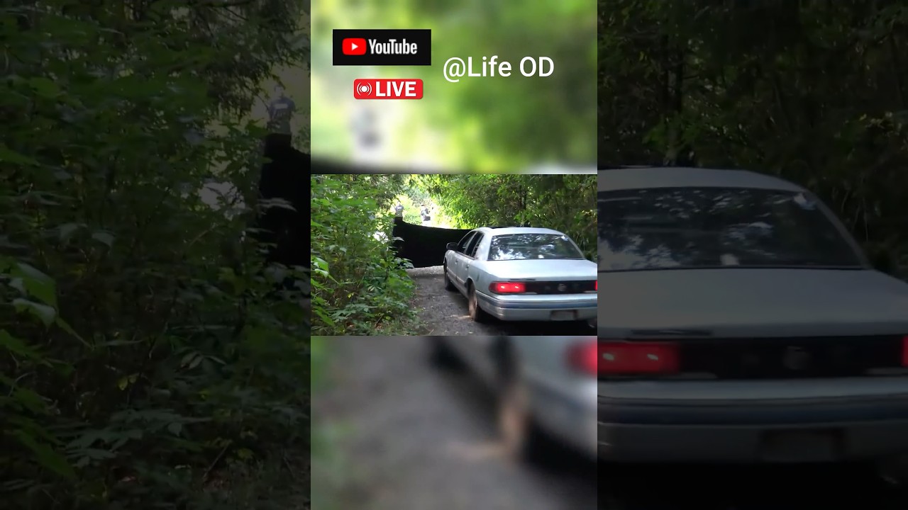 Can flex tape stop a car?