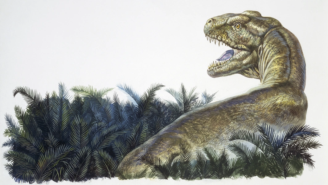 Studies link T rex’s tiny arms to powerful skull evolution