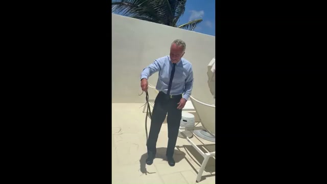 RFK Jr bitten by snakes after grabbing writhing reptiles