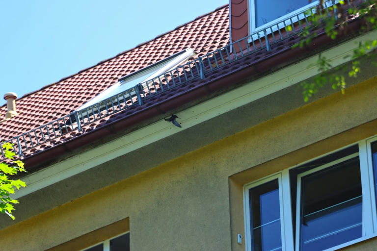 Vogel verfängt sich im Draht an Mehrfamilienhaus: Feuerwehr rettet das Tier