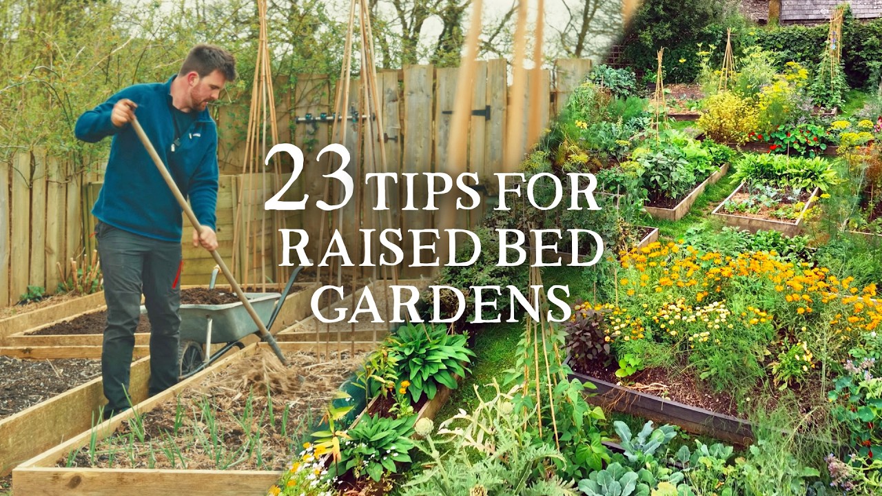 23 tips to elevate your raised bed game!