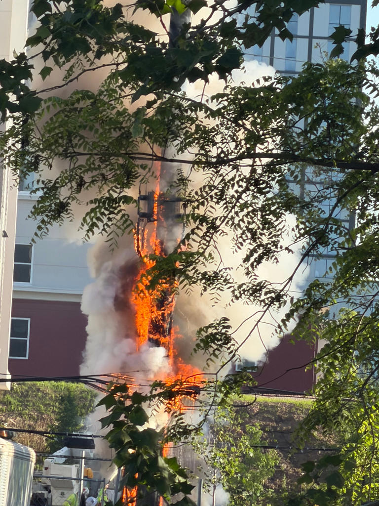 Squirrel causes utility pole fire in Iowa City