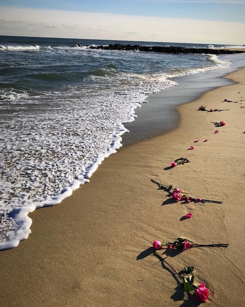 The bioluminescent beach in New Jersey lights up the shore with ...