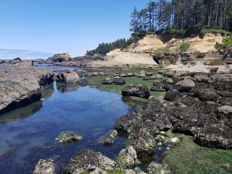 Oregon has a 1.7-mile trail that ends at a shipwreck from 1913 half ...