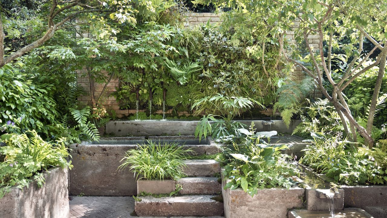 The only plant you need for a natural slug-proof barrier: It's low ...