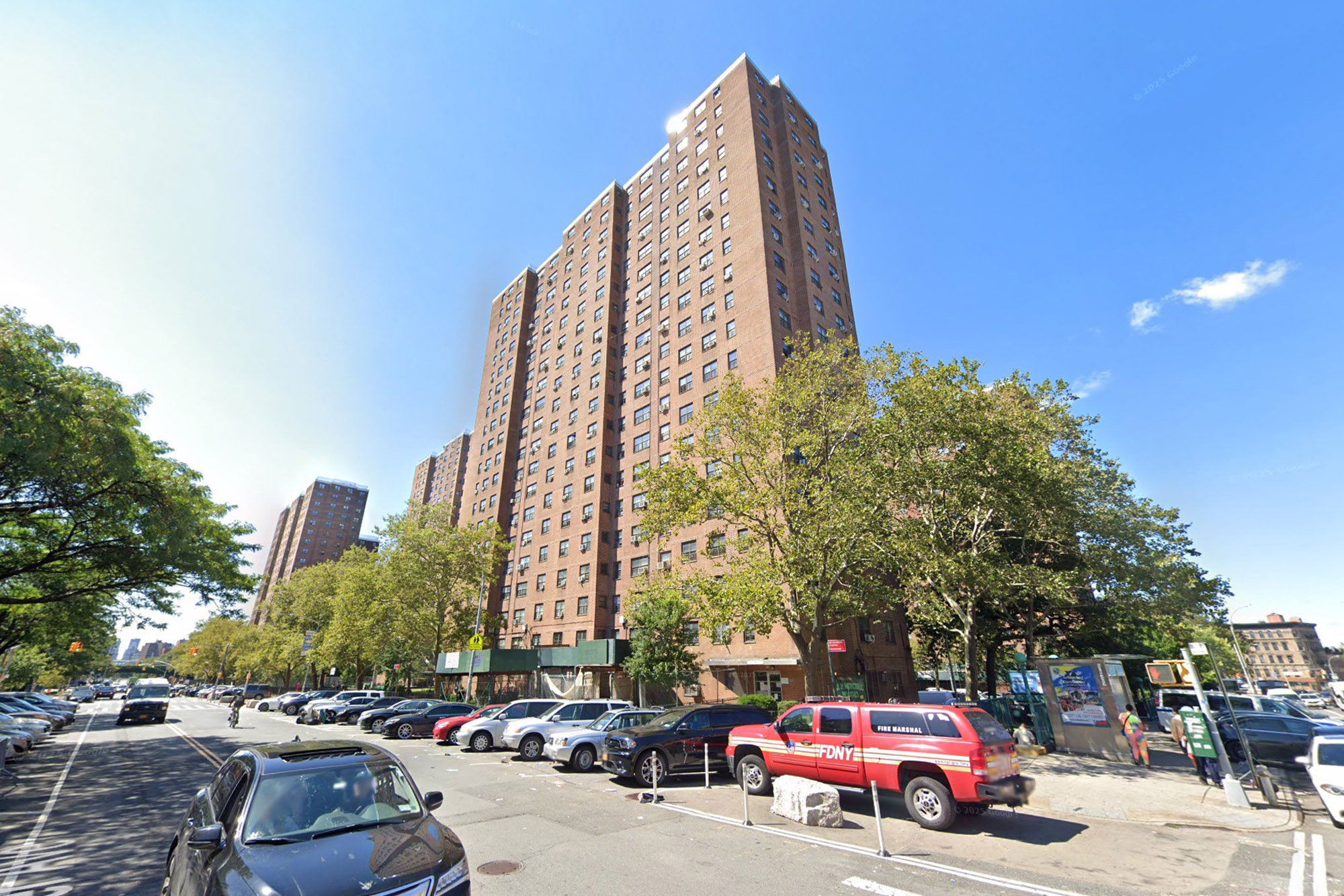 NYC sicko accused of throwing family cat 'Shadow' out 15th-story window ...