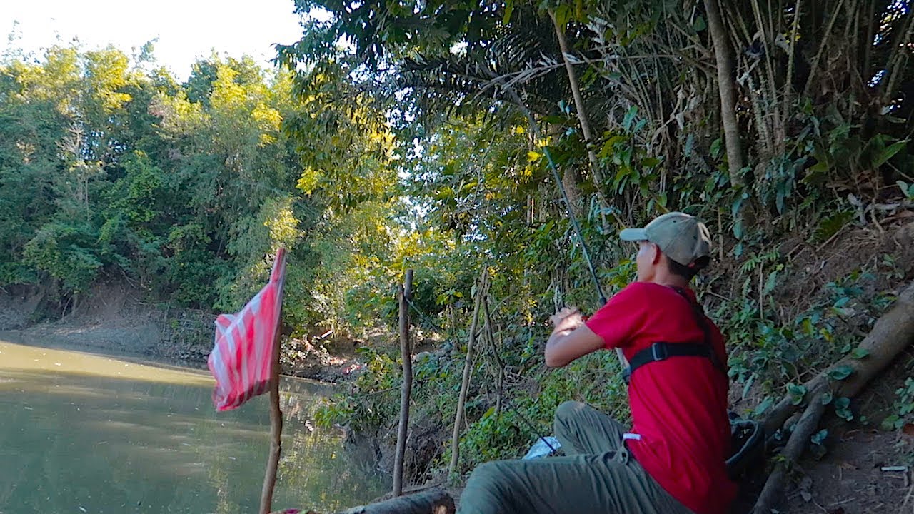 Mancing di bawah pohon bambu dapat banyak ikan