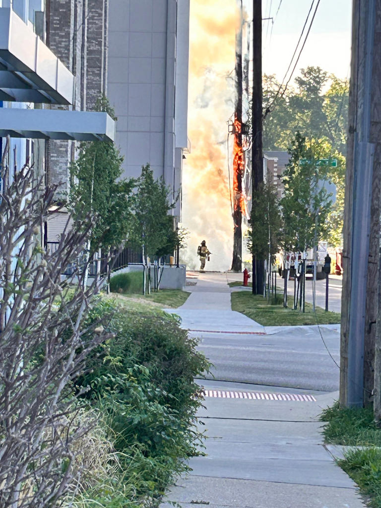 Squirrel causes utility pole fire in Iowa City