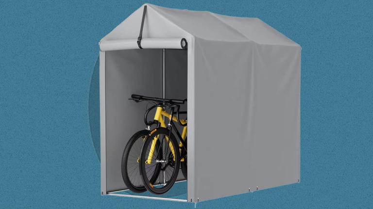 Walmart sells a $58 canopy shed that stores a ton and is 'easy to move'