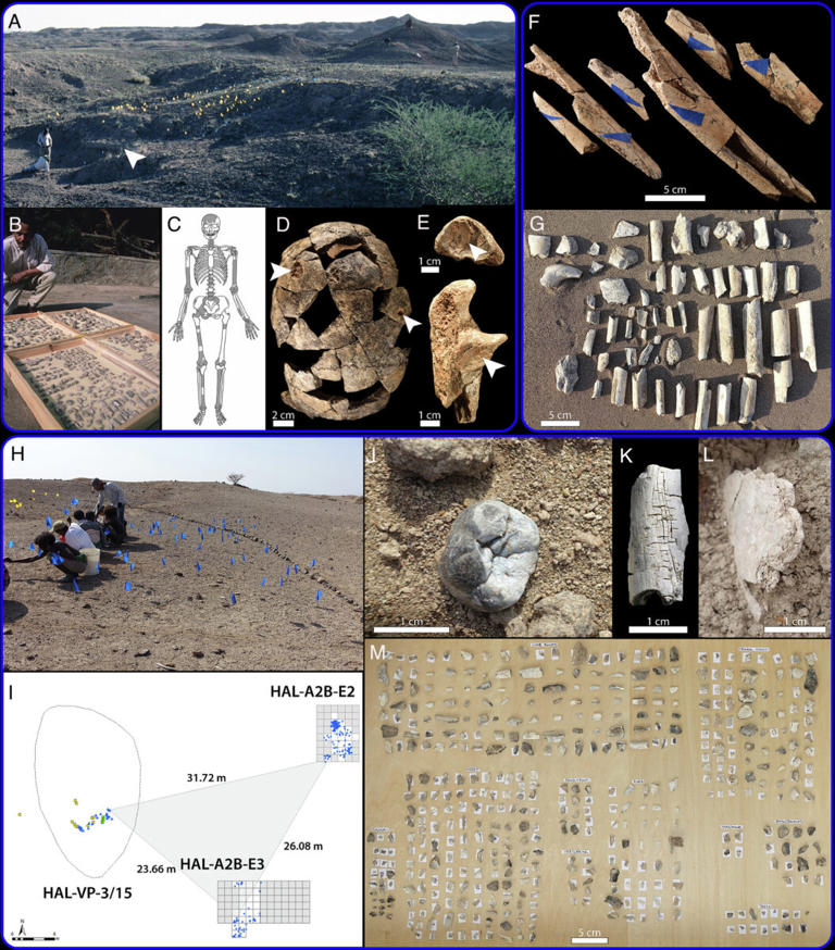Scientists may have found the earliest human cremation ever recorded ...