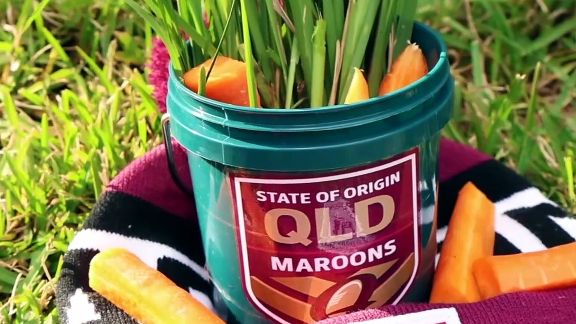 Rooster the kangaroo predicts NSW Origin win