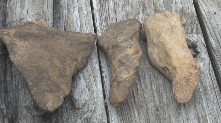 Alleged “Megalodon teeth” confirmed to be rocks by archaeologist in ...