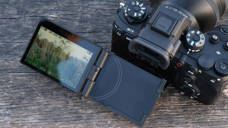 New rumor suggests upcoming Sony cameras could have noticeably better ...