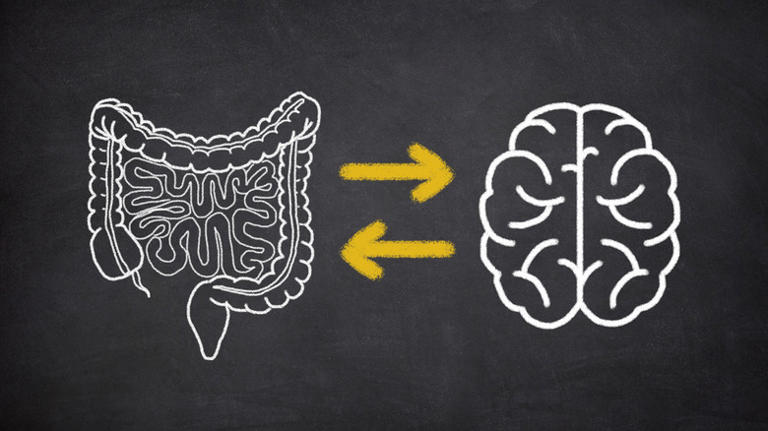 This body part explains why being nervous makes people poop