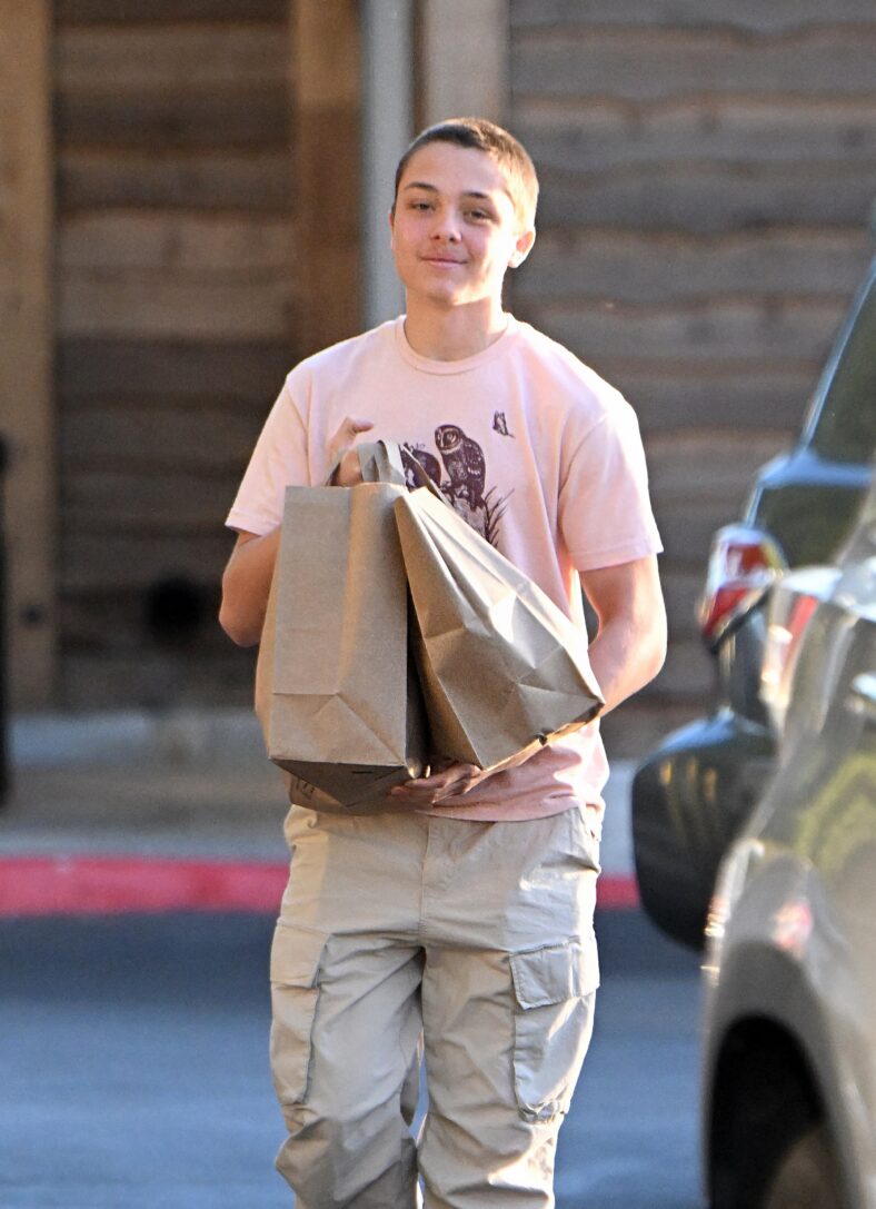 Brad Pitt’s lookalike son Knox makes drastic hair color change days ...