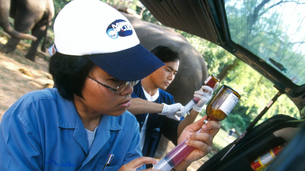Inside the secret world of veterinary medicine