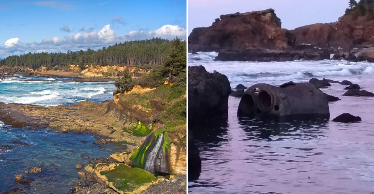 Oregon has a 1.7-mile trail that ends at a shipwreck from 1913 half ...