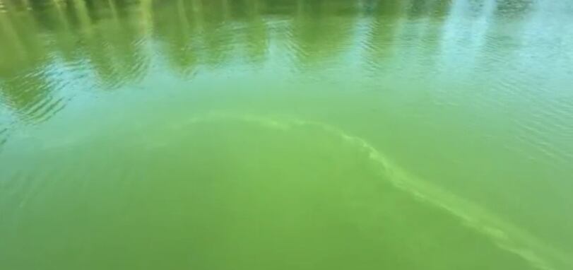 Sleepy Hollow State Park warns of harmful algal bloom
