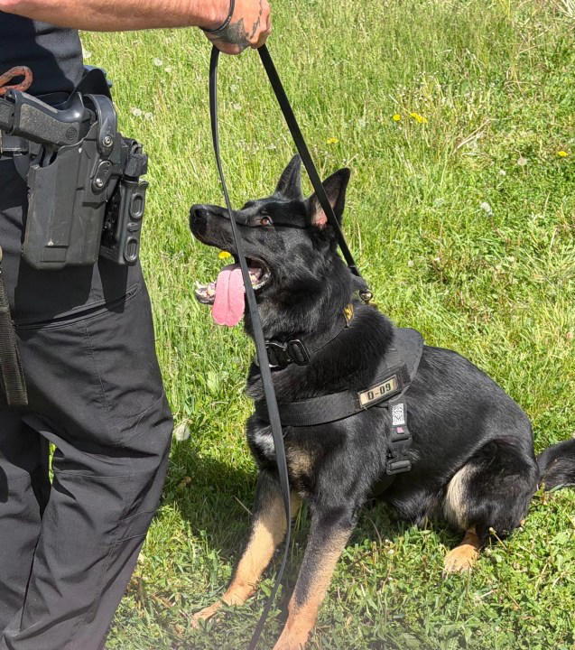 Saratoga Co. sheriff deputy, K-9 graduate from human remains detection ...
