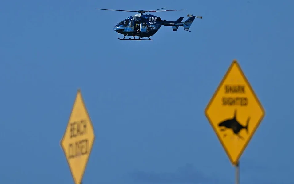 Spearfisher Michael Jensz killed in rare Kennedy Shoal shark attack