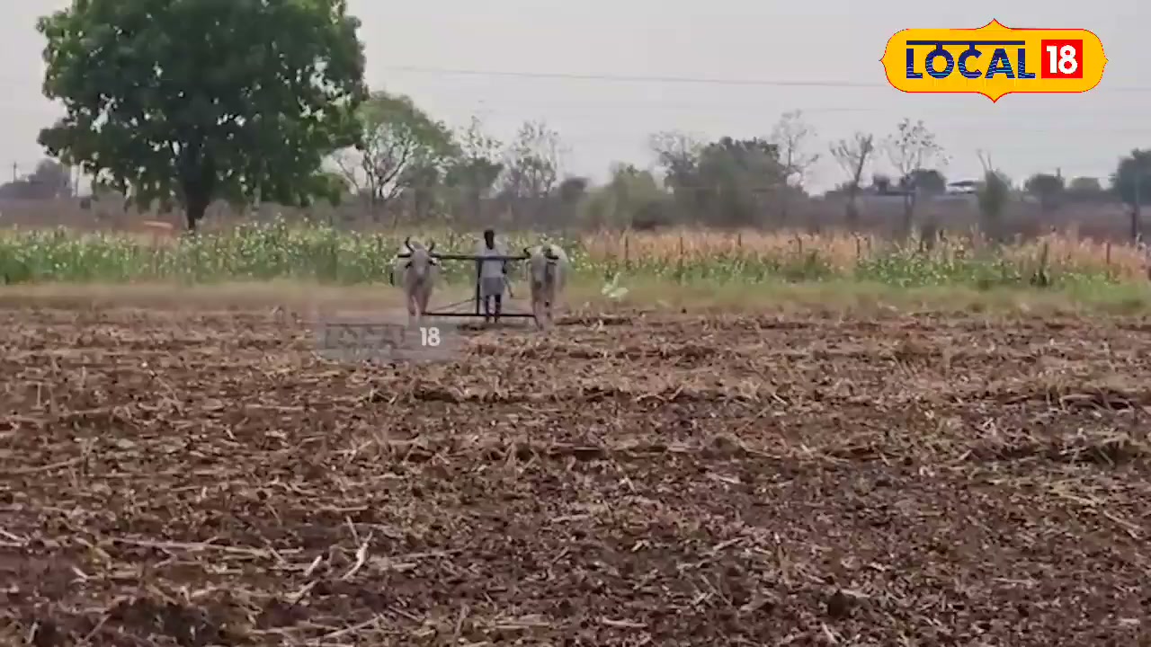 Tank silt improves soil fertility naturally | సాగులో చెరువు మట్టిని ...