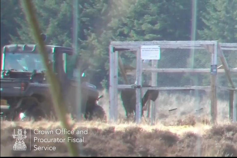Graphic images show sick crimes of thugs who slaughter birds of prey as ...