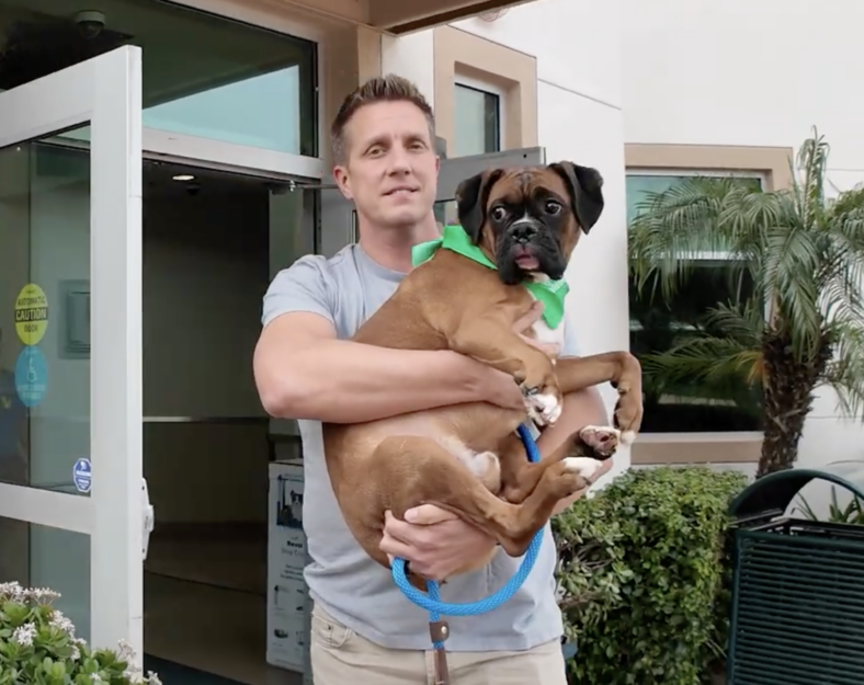 She traveled 1,000 miles to adopt them… then both boxers froze 🥹
