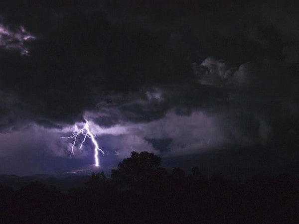 Three women killed as lightning strikes tree in TN's Madurai