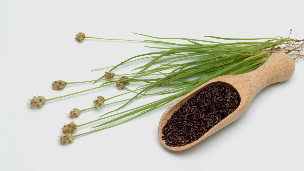 Psyllium husk made simple for everyday health