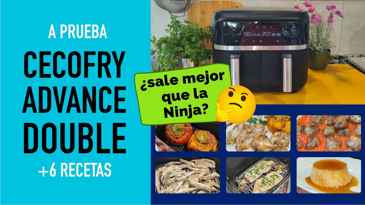 🔥 6 recetas y review Cecofry Advance Double 9L-¿merece la pena, es ...