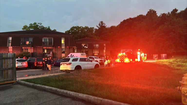 Woman taken to hospital after fire at apartment complex in Harrison