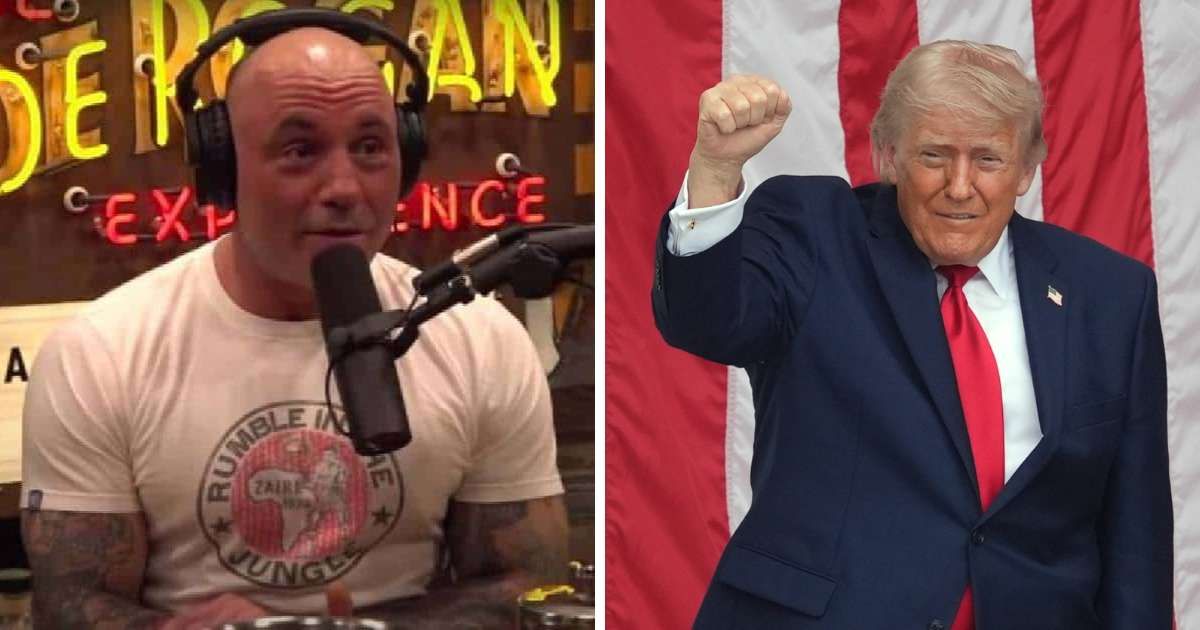 Trump brushes off Joe Rogan’s criticism of White House UFC event: 'That ...