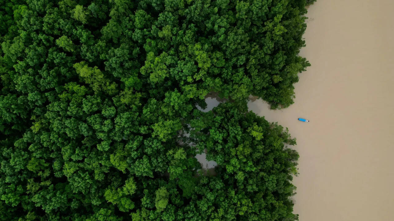 Brazil’s Amazon deforestation falls to six-year low, yet destruction ...