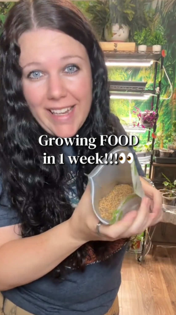 Grow microgreens at home