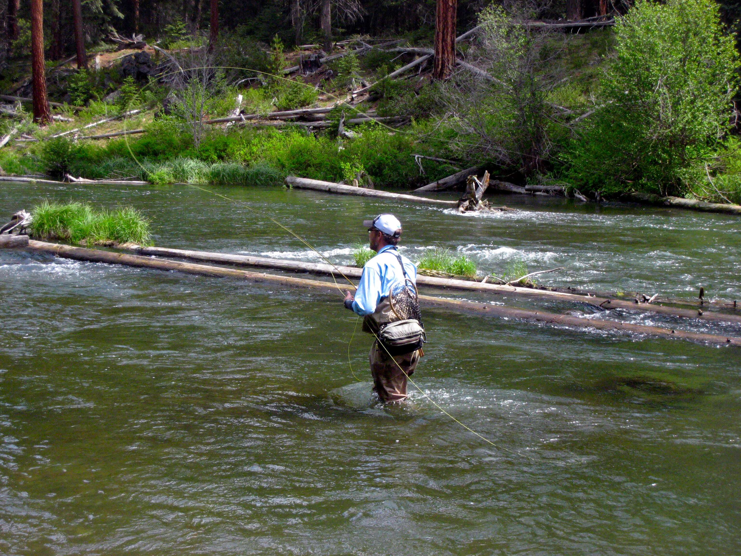 Oregon initiative that would criminalize hunting, fishing moves a step ...